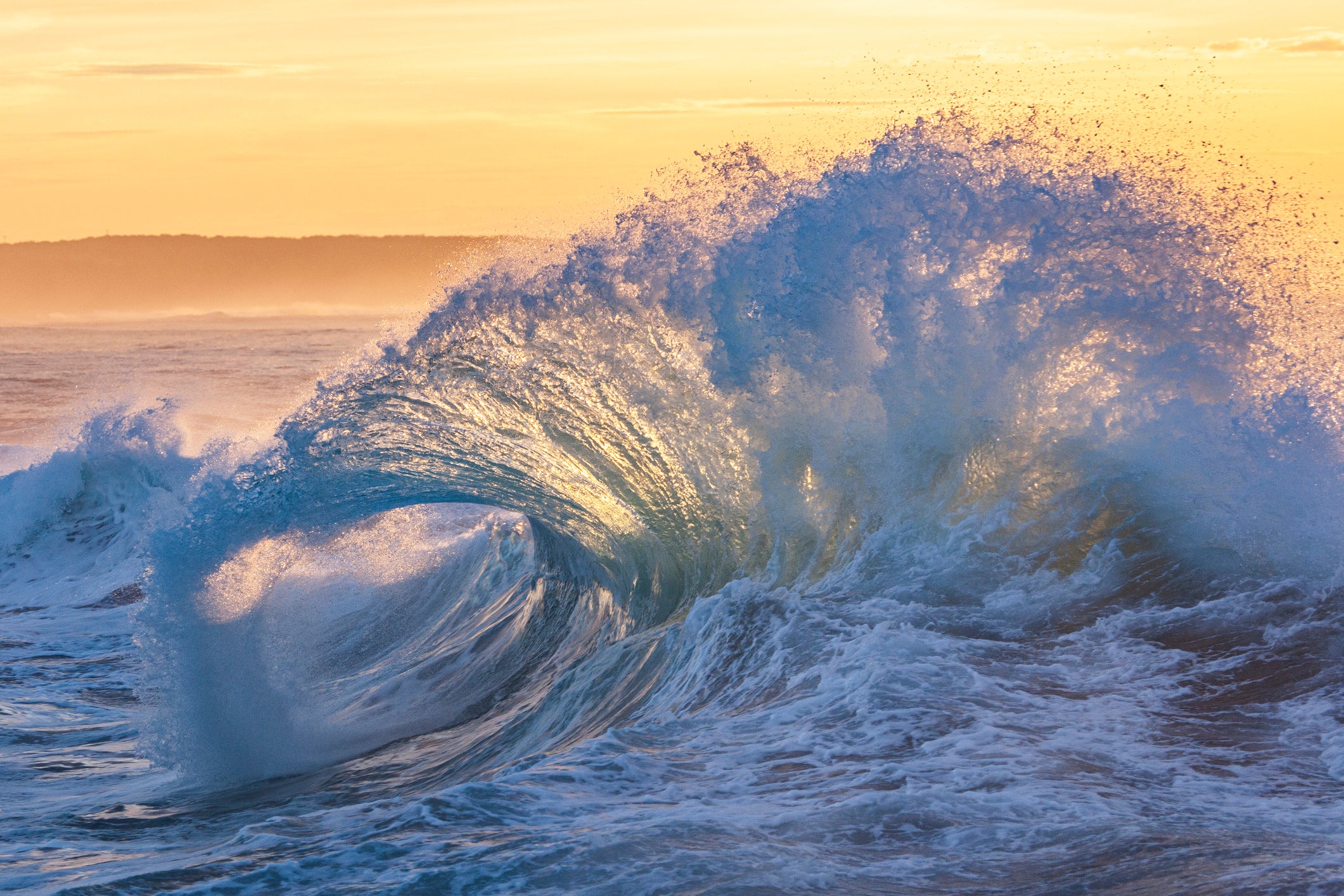 Parnassus Investments: 2024 Outlook: Navigating Market Riptides